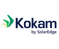Top 10 lithium battery companies in Korea - TYCORUN ENERGY