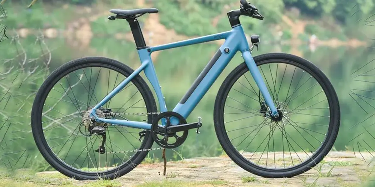 Top 10 electric moped bicycles in China - TYCORUN ENERGY