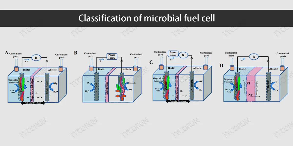 A Complete Introduction Of Microbial Fuel Cell