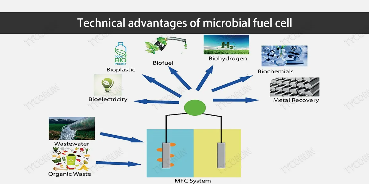 A Complete Introduction Of Microbial Fuel Cell