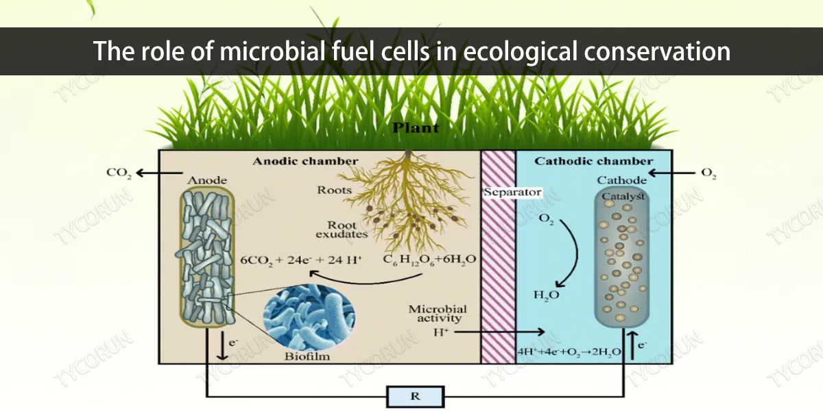 A complete introduction of microbial fuel cell