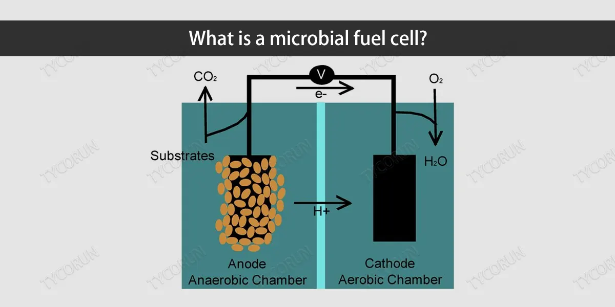 A Complete Introduction Of Microbial Fuel Cell