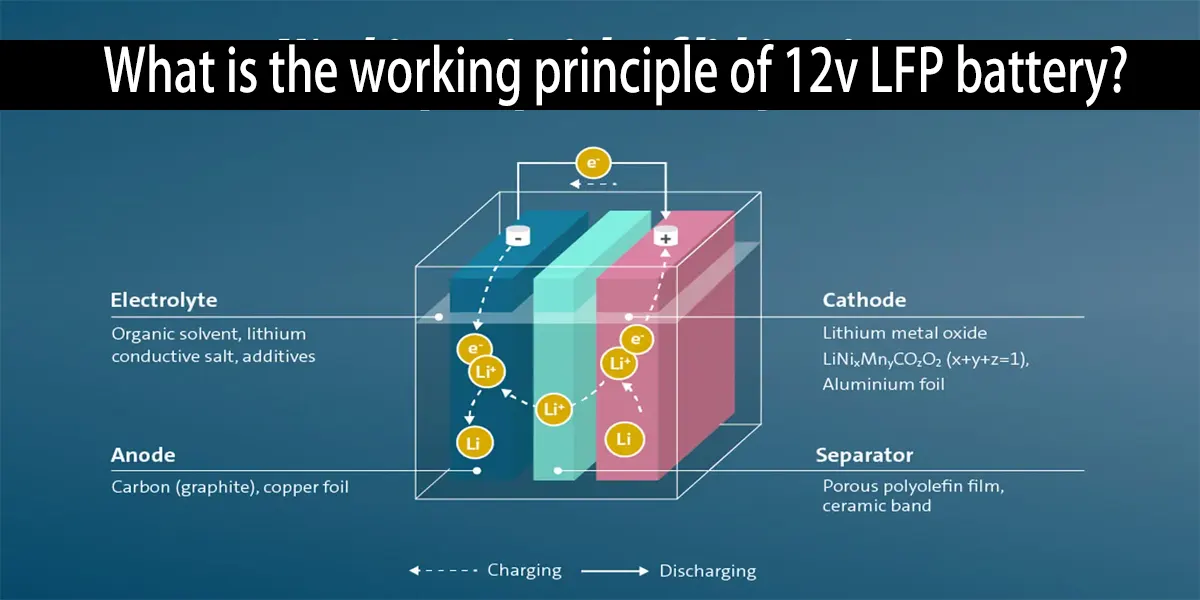 12V LFP battery: The future of energy storage