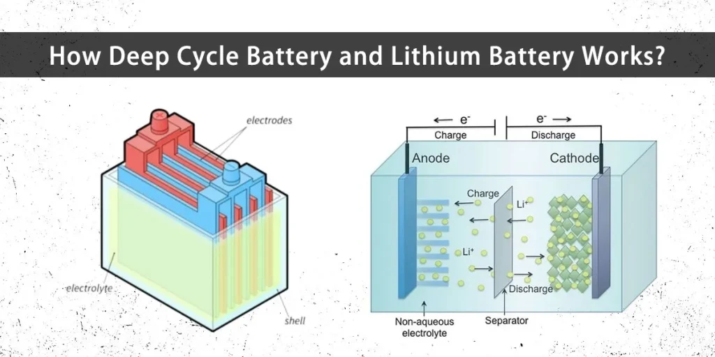 Deep Cycle Battery vs Lithium Battery? Find Out Which Suits You Better ...